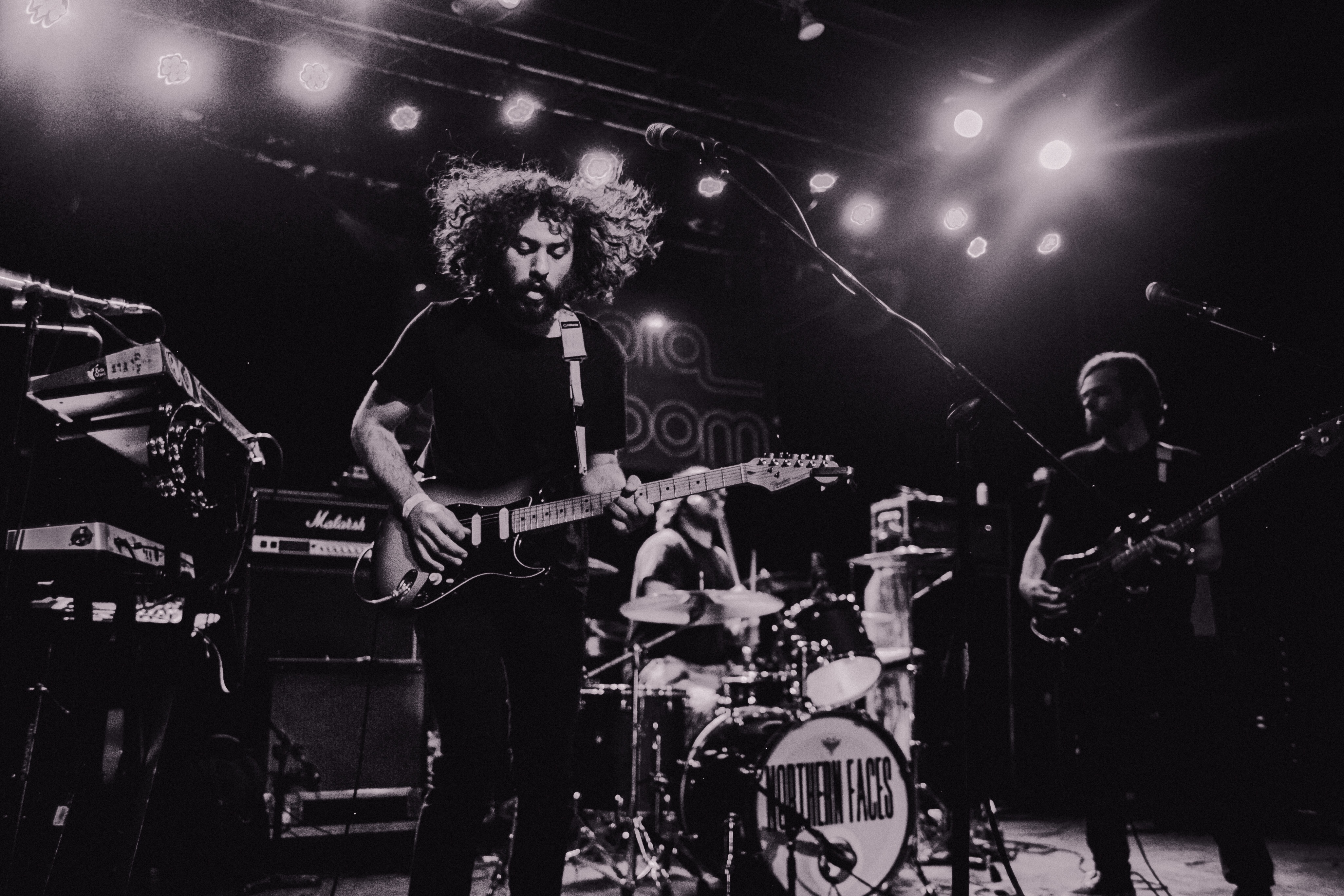 Northern Faces wrap darkness in a pretty package | The Collaborative