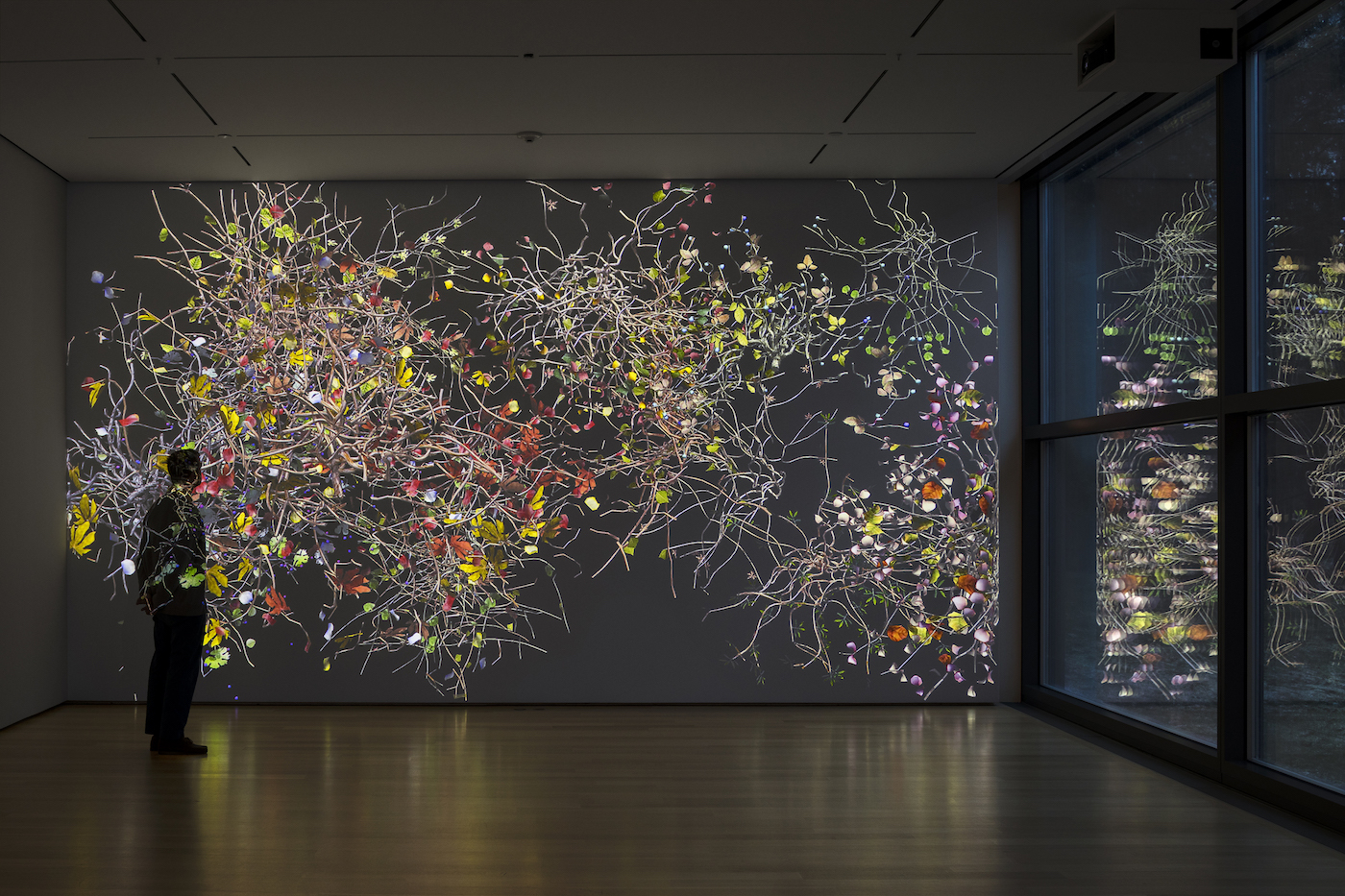 Jennifer Steinkamp warps our perception of the natural world | The ...